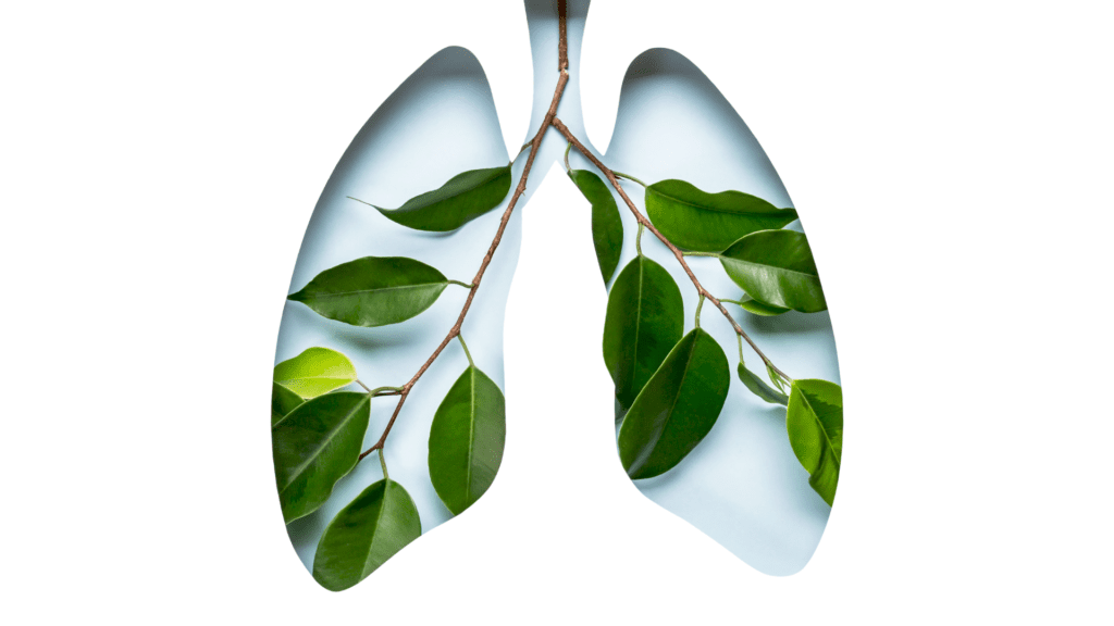 NFSHW24: No Safe Way to Vape - AgriSafe Network