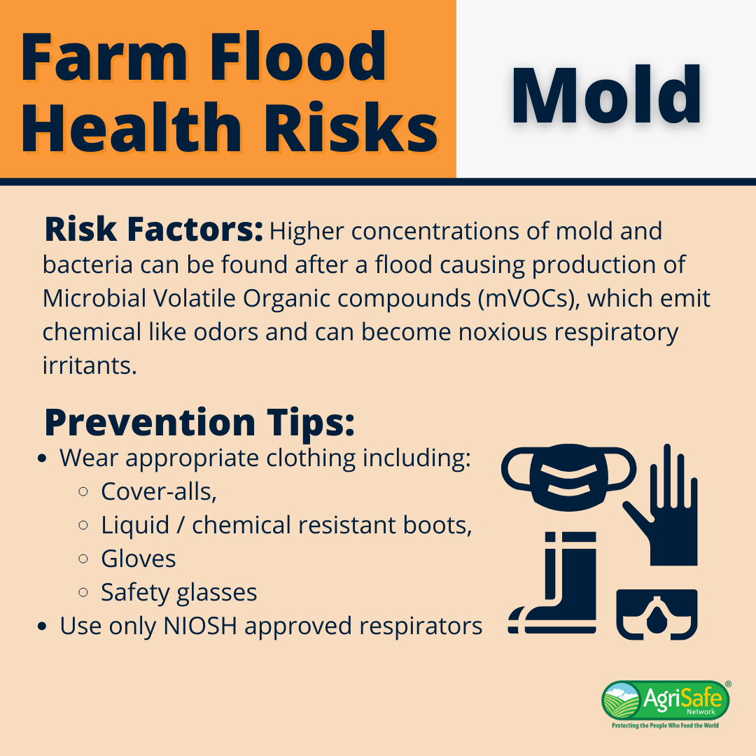 Farm Flood Health Risks Social Media Infographics (English version ...
